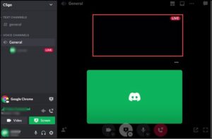 How to Stream Netflix On Discord Without Black Screen? (EASY!)