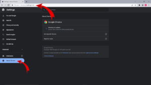 Fix “RESULT_CODE_HUNG” Error on Chrome and Edge